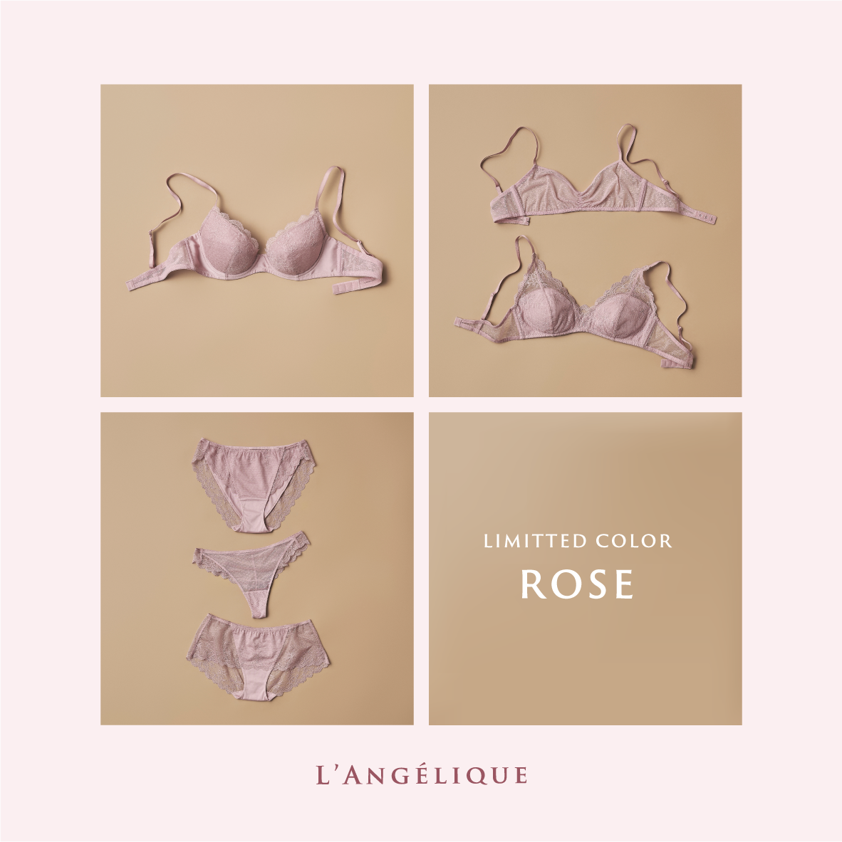 INFORMATION | L'ANGELIQUE